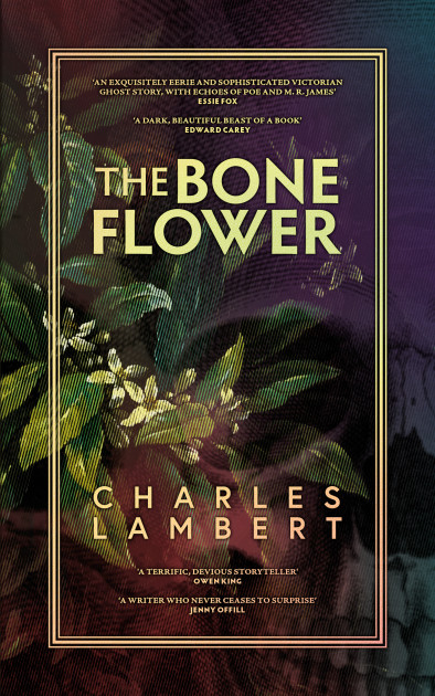 The Bone Flower | Washington Independent Review of Books